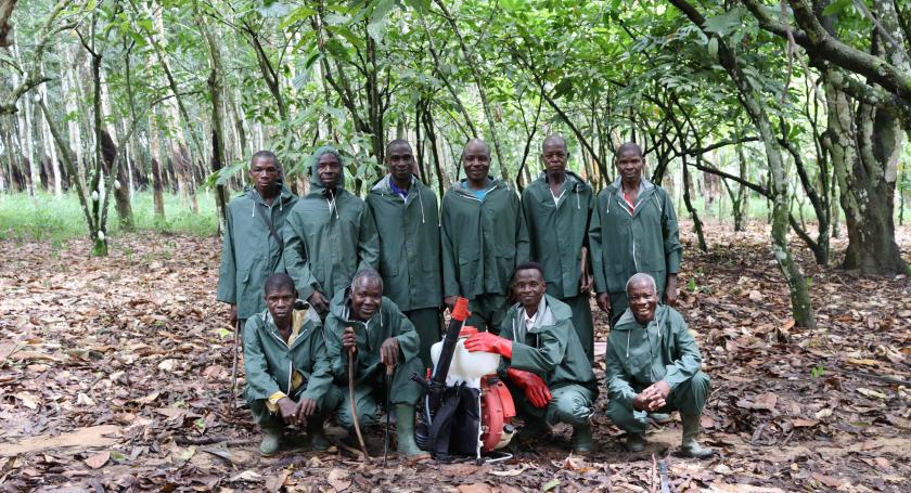 Cash transfers with an incentive to hire adult labour: a promising ...