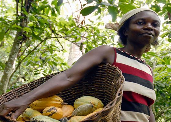 The US State Department awards Hershey Impact Award | ICI Cocoa Initiative