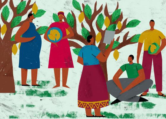 Learning into Action | ICI Cocoa Initiative